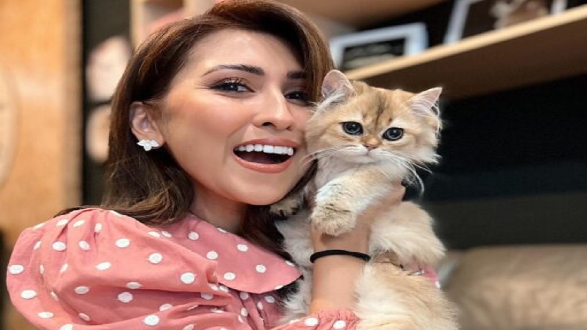 WATCH: Fatin Amira Viral Video and Twitter Leaked Footage Scandal Explained WATCH: Fatin Amira Viral Video and Twitter Leaked Footage Scandal Explained
